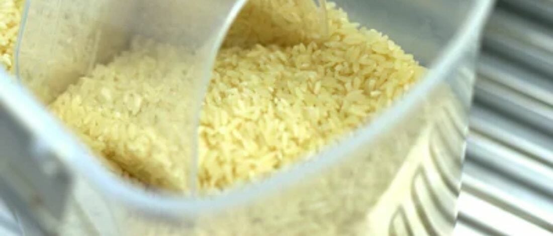 10 Best Rice & Brown Rice Protein Powders (2025 Updated)