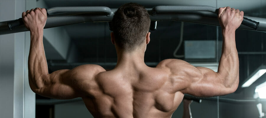 10 Best Power Towers (2025 Updated) Buyer's Guide