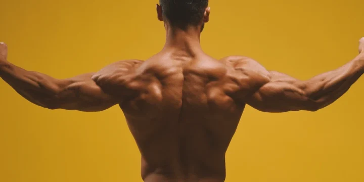 10 Best Trapezius Exercises (Bigger, Stronger Trap Muscles)
